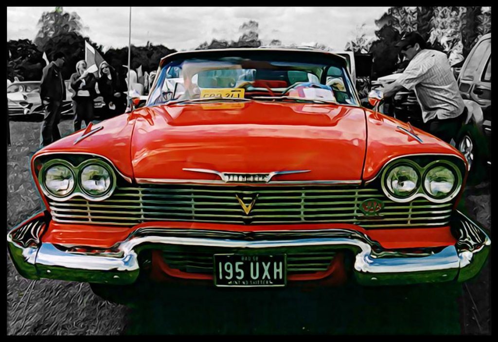 christine car canvas - Rustypod Store